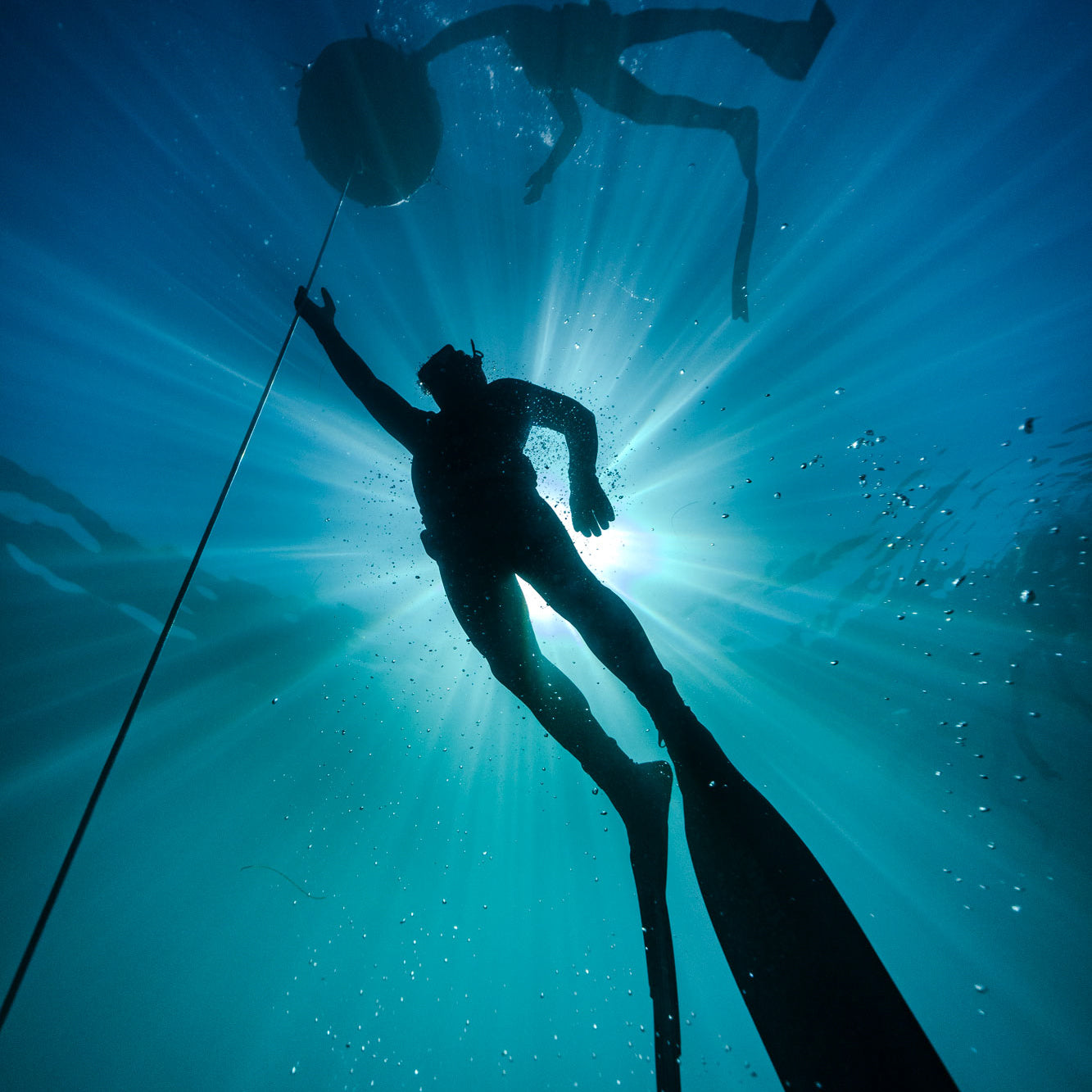 Intermediate Freediving Crossover – Just Get Wet